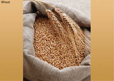 UP: What Can I Ship?