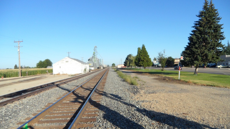 UP: The Portland Rose